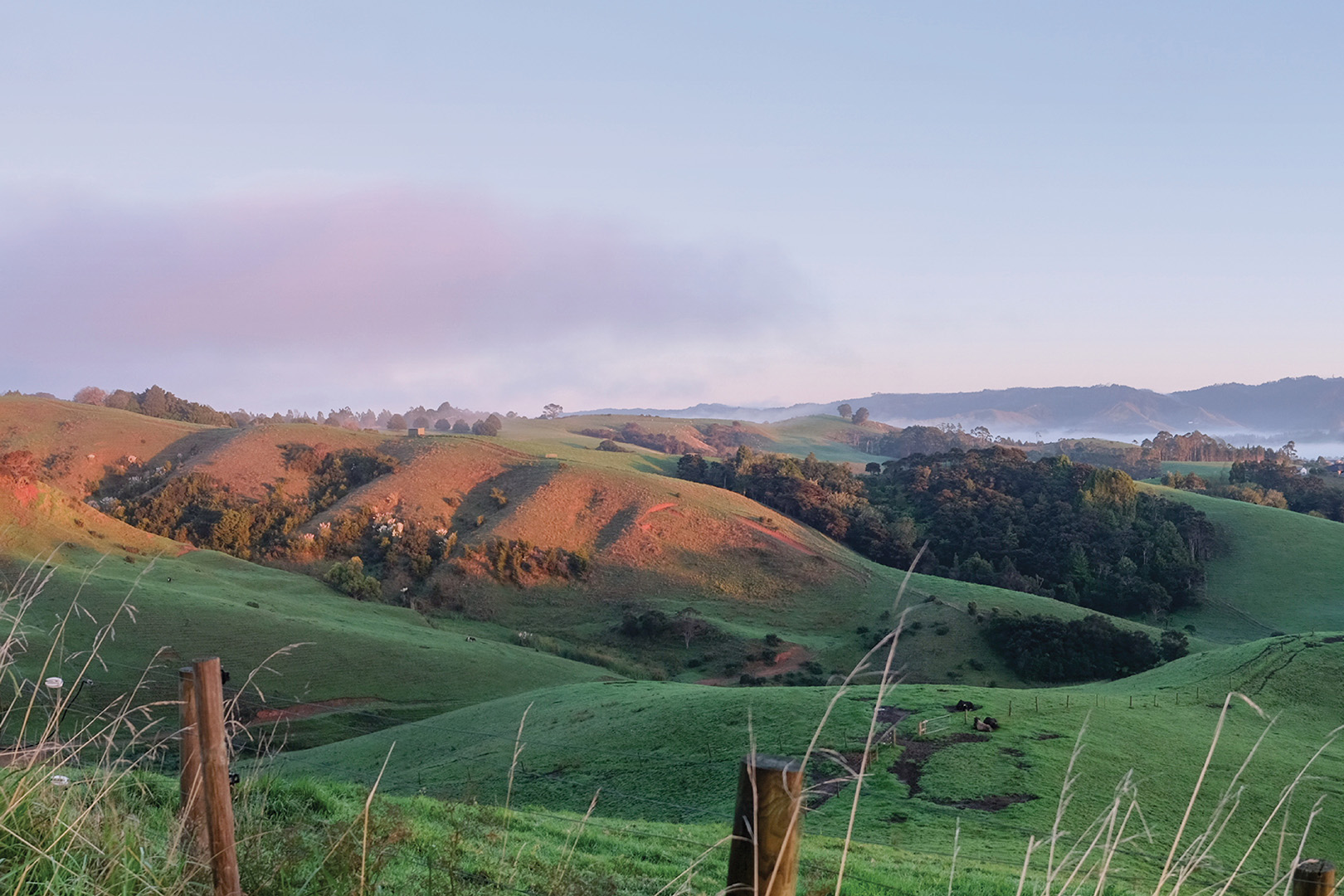 September 2024 Rural Data: REINZ Reports Strong Growth in New Zealand's ...